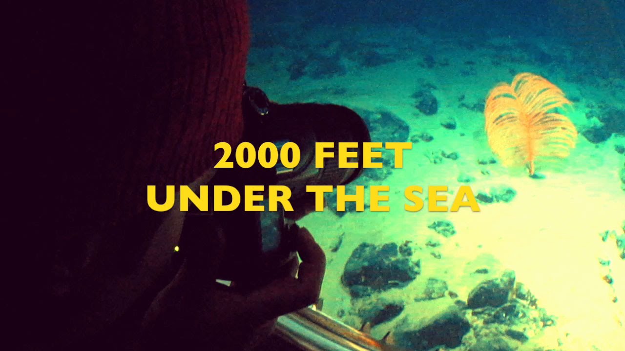 2,000 Feet Under the Sea – Seegrape: Caribbean Nature and Heritage Videos